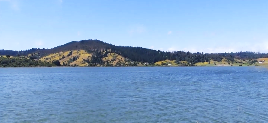 Reserva Nacional Laguna Torca – Viaje x Chile